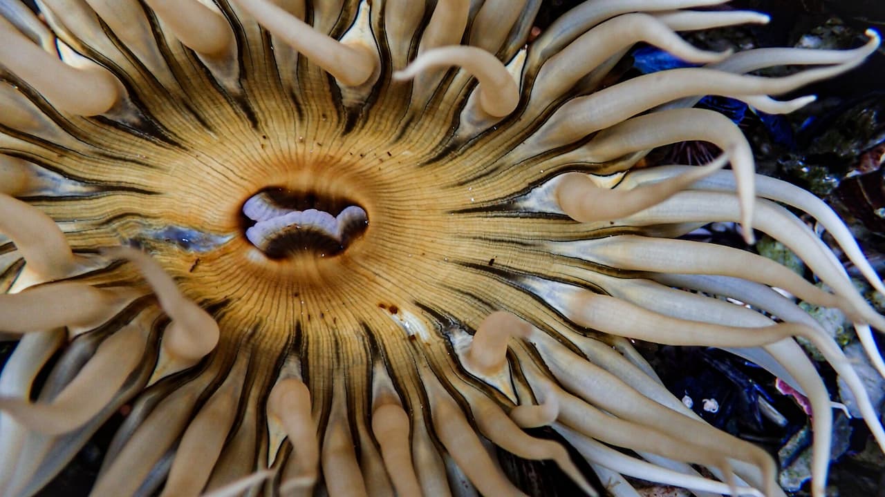 Stories - Sea Change Project