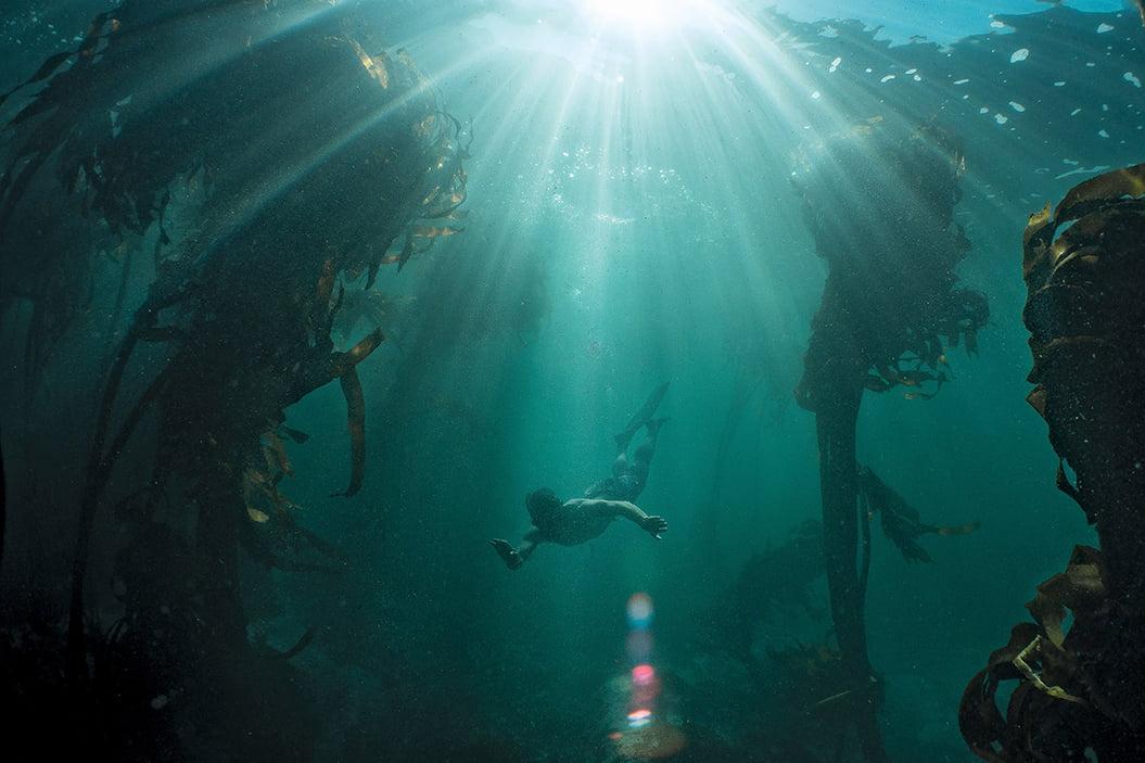 About - Sea Change Project