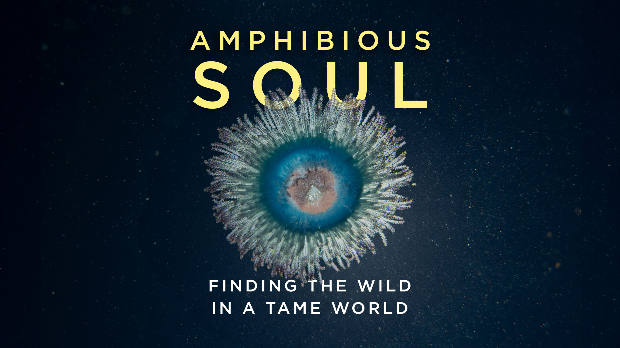 Amphibious Soul - Sea Change Project